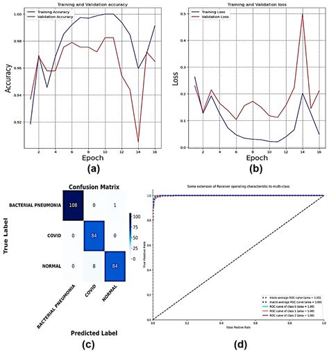 Multi Scale Cnn An Explainable Ai Integrated Unique Deep Learning