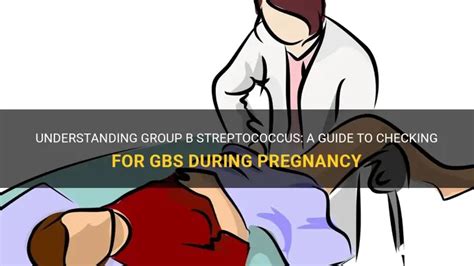 Understanding Group B Streptococcus A Guide To Checking For Gbs During