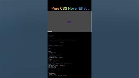 How To Use Css Effects Css Transitions Andcss Animations Css Html