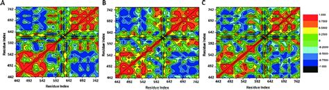 Dynamic Cross Correlation Matrices Of The Cα Fluctuations In A Download Scientific Diagram