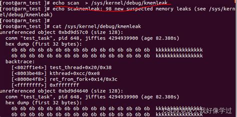 linux内核态内存泄漏检测 kmemleak csdn博客