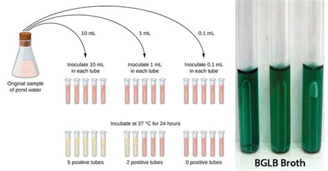 Most Probable Number Mpn Test For Water Quality