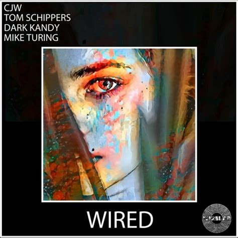 Stream Tom Schippers Hostile Intentions By Wirelab Records Listen Online For Free On Soundcloud
