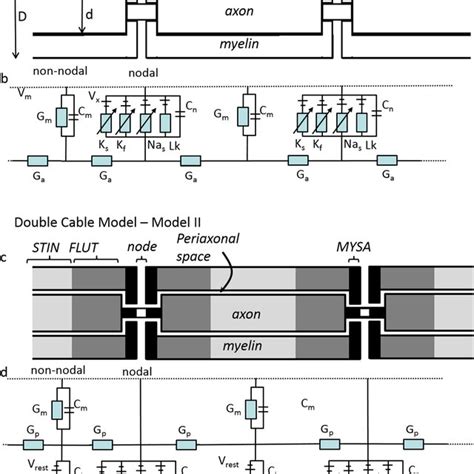 Drawings Of The Physical Simplification And Electrical Models Used For