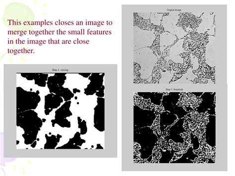 PPT Chapter Skeleton Morphological Operation PowerPoint Presentation ID