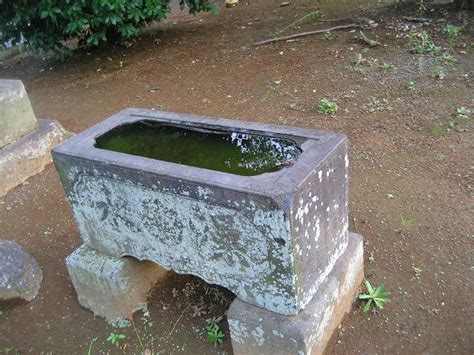 牛久保総鎮守天照皇大神と手水舎の龍の爪の数 アベイルの都筑区お散歩ブログ