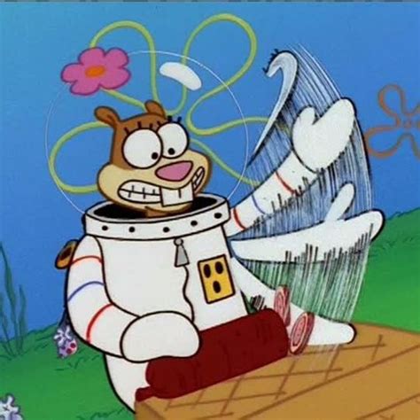 Sandy Cheeks Karate