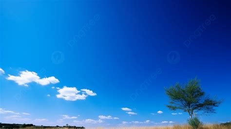 빈 나무가 있는 푸른 하늘 아래 땅 맑고 푸른 하늘 구름 하늘 배경 일러스트 및 사진 무료 다운로드 Pngtree