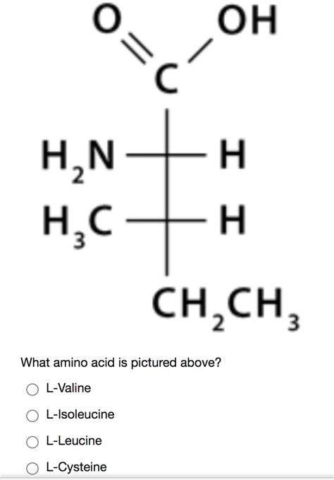 Solved 0 Il H2n Ch C Nh Ch C ī Ch сн Ch3 1 Ch2 O C Nh2 H3c