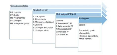 Additive Parameters Of Uti Classification And Severity Assessment Download Scientific Diagram