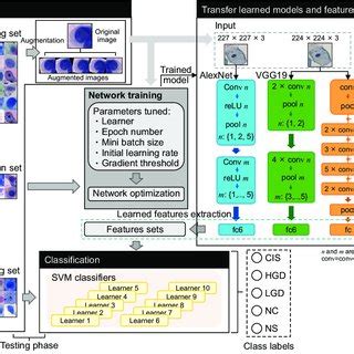 Performance Of CNN SVM Models For Cervical Cell Classification Download Scientific Diagram