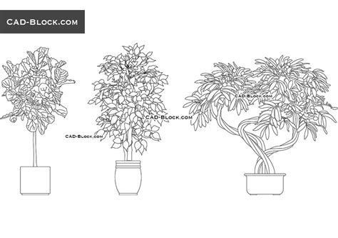 Indoor Tree Cad Block Free Autocad Models Download Indoor Tree