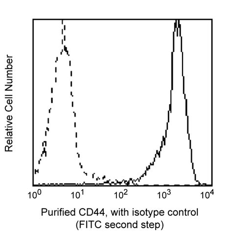 Purified Mouse Anti Human Cd44
