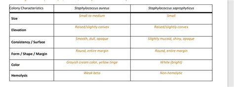 Solved Colony Characteristics Staphylococcus Aureus Staphylococcus
