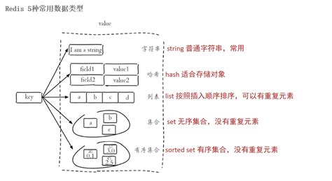 Redis基础jedis Maven坐标 Csdn博客