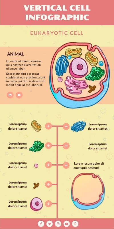 Cell Vertical Info