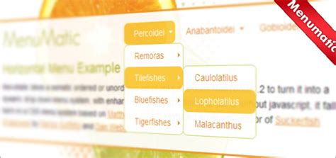 30 useful drop down menu scripts to enhance header navigation