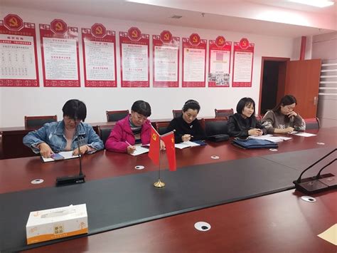 民盟宁国总支第一支部召开议案提案调研会 中国民主同盟宣城市委员会