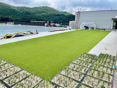 [인조잔디] 파주시 파주읍 부곡리에 위치한 교보문고 물류센터 옥상인조잔디 조경용 20mm 인조잔디 시공 By 매트맥스 매트맥스