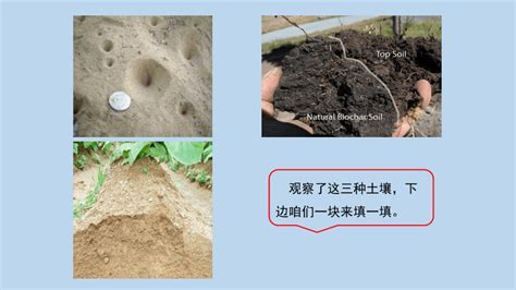 小学科学冀人版2017秋四下2沙质土黏质土和壤土同步课件 共22张PPT 21世纪教育网 二一教育