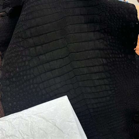 Alligator Skin All You Need To Know Sunny Exotic Leathers