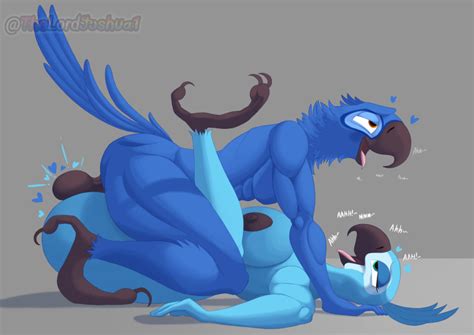 Rule 34 Absurd Res Anthro Ass Avian Avian Feet Balls Beak Big Balls