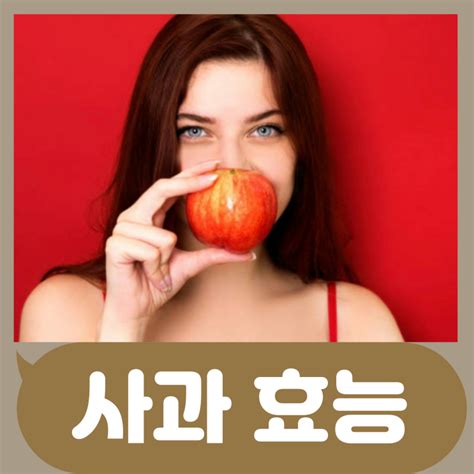 과천 헬스장 하다 피트니스에서 알려드려요 사과 영양성분 아침 사과 효능에 대해서 알아보아요 네이버 블로그