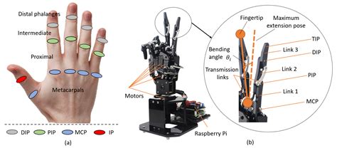 Teleoperation Control Of An Underactuated Bionic Hand Comparison