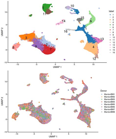 Chapter 14 Hca Human Bone Marrow 10x Genomics Single Cell Analysis Workflows With Bioconductor