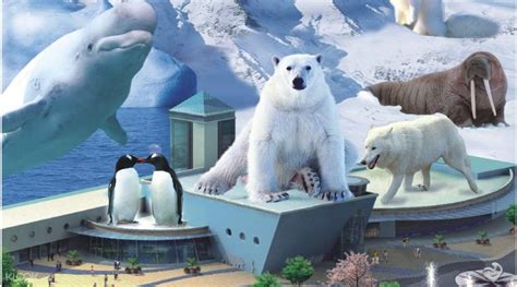 [sale] One Day Entry To Shenzhen Ocean World Ticket Kd