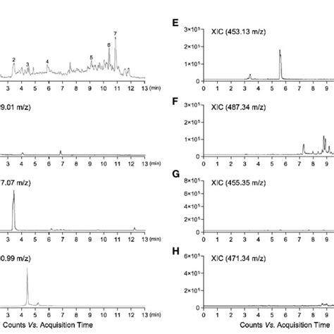 LC ESI QTOF MS Chromatograms Of MED A Total Ion Chromatogram TIC Download Scientific