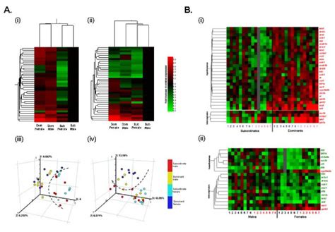 Comparisons Of The Roles Of Sex And Social Rank As Determinants Of The Download Scientific