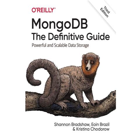 Mongodb The Definitive Guide Books Clock
