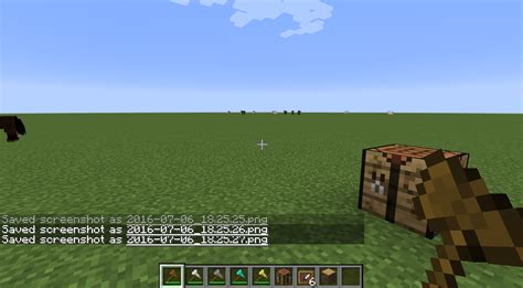 194 Weird Graphical Error When I Load A Custom Item Modder