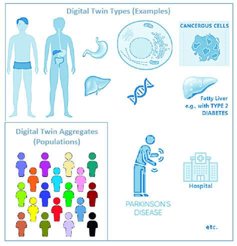 Key Concepts And Examples Of Human Digital Twins Digital Twin Types