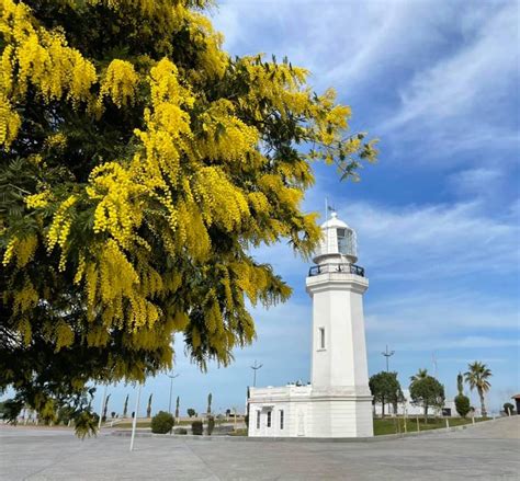 სანახაობა ბათუმის ბულვარი 1881