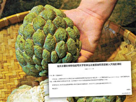 國家海關總署：周一起暫停台灣番荔枝和蓮霧輸往大陸 星島日報