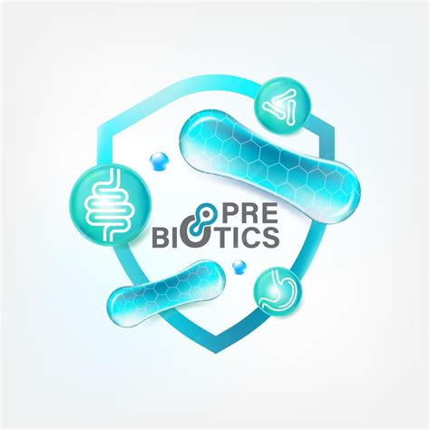프리바이오틱 식품 좋은 박테리아 벡터 일러스트 프리미엄 벡터