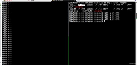 Linux信号捕捉linux Sigaction Coredump Csdn博客 Linux信号捕捉linux Sigaction Coredump Csdn博客