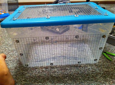 How To Build A Rat Cage Encycloall