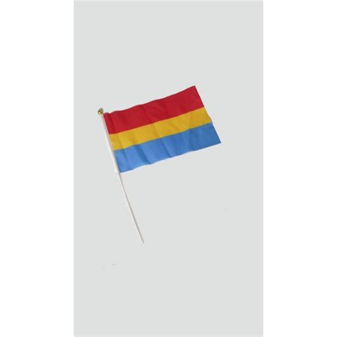 Small Pansexual Flag Pan Pride Flag Lgbt Handheld Waving Local