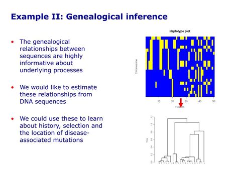 Ppt Understanding Genetic Variation Through Approximate Genealogical Inference Powerpoint