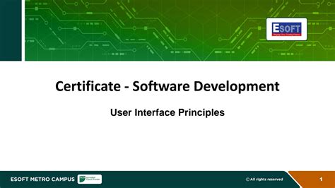 SOLUTION Object Oriented Programming User Interface Principles Studypool
