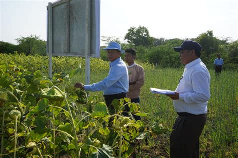 စိုက်ပျိုးရေး၊ မွေးမြူရေးနှင့်ဆည်မြောင်းဝန်ကြီးဌာန ဒုတိယဝန်ကြီး နိုင်ငံ့စီးပွားမြှင့်တင်ရေးရန