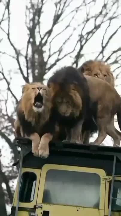 nadeem siddiqui posted on linkedin