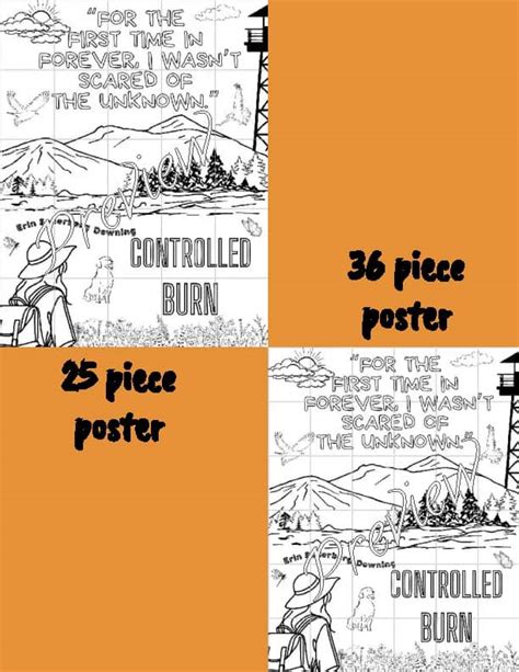 Controlled Burn By Erin Soderberg Downing Collaborative Poster