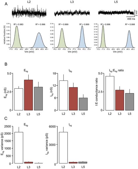Simultaneous Vmd Estimations Of Excitatory And Inhibitory Background Download Scientific