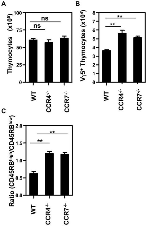 A Total Number Of Thymocytes From Both Thymus Lobes Of Individual E18