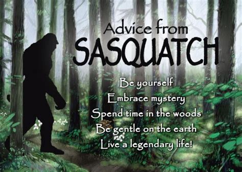 Advice From Sasquatch Jumbo Magnet Sassy The Sasquatch Quotes