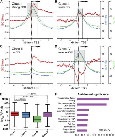 Gc Skew Distinguishes Four Promoter Classes In The Human Genome A D Download Scientific